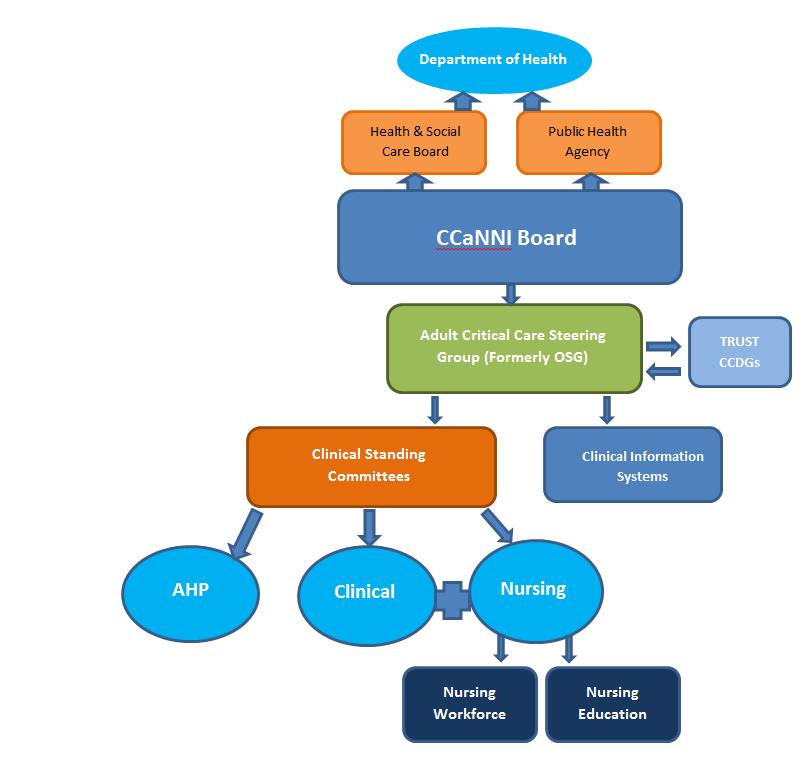 Critical Care Network Northern Ireland - DOH/HSCNI Strategic Planning ...