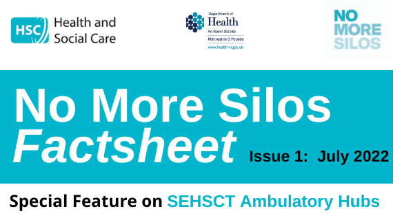 No More Silos Factsheet - DOH/HSCNI Strategic Planning and Performance ...