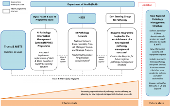 Pathology Network - DOH/HSCNI Strategic Planning and Performance Group ...