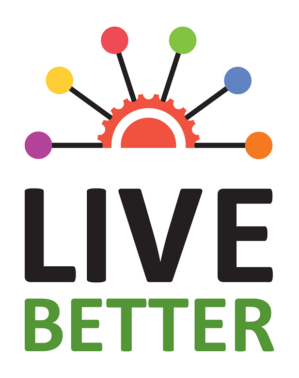 Live Better Health Inequalities Initiative - DOH/HSCNI Strategic Planning and Performance Group ...